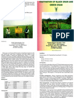 Soil Science Practical Soil Texture by Feel Method | PDF