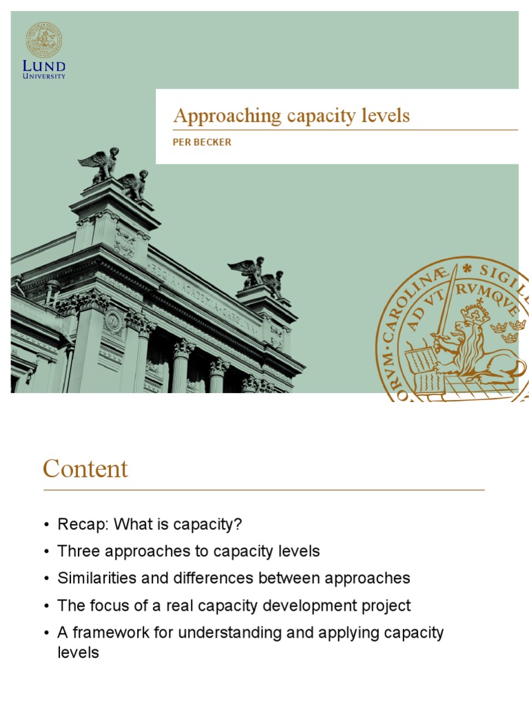 Approaching Capacity Levels | PDF | Capacity Building | Business