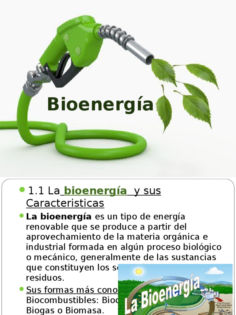 Bio Energía | Bioenergía | Biomasa