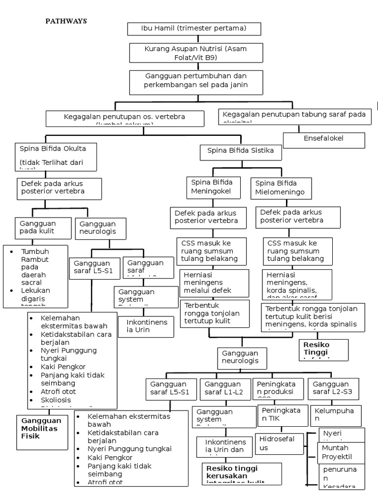 PATHWAYS Spina Bifida | PDF
