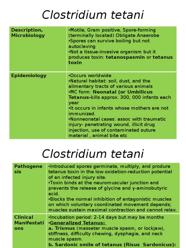 Clostridium Tetani | Muscle | Wound