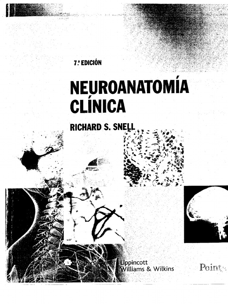 Neuroanatomía Clinica (Richard S. Snell) PDF | PDF