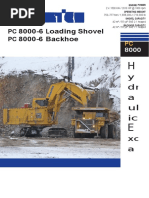 Escavadeira CAT 6050 - 6050 - FS | PDF | Horsepower | Electric Motor