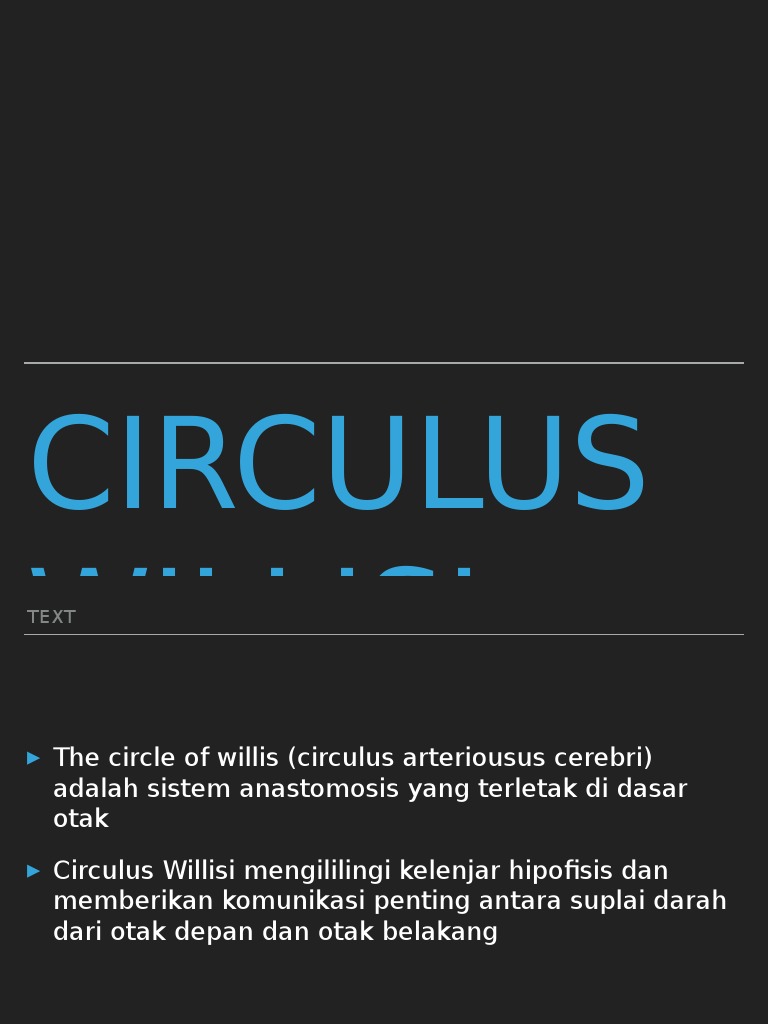 Circulus Willisi | PDF | Seni