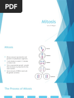 Mitosis and The Cell Cycle - Cell Division - AQA - GCSE Biology (Single ...