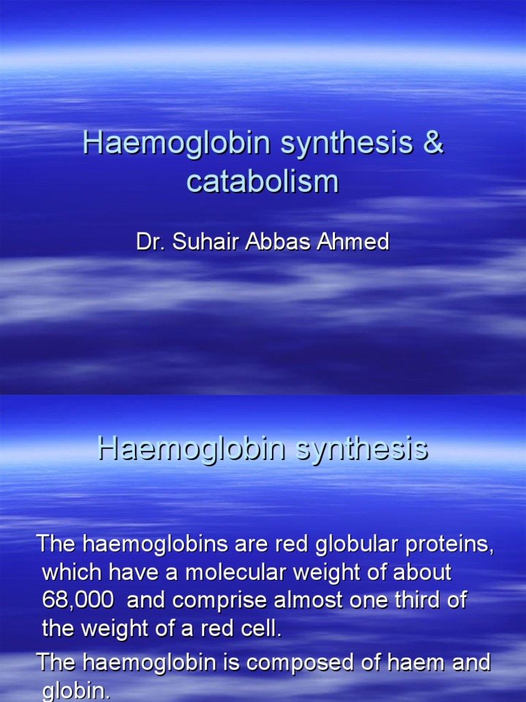 HB Synthesis | PDF | Hemoglobin | Red Blood Cell