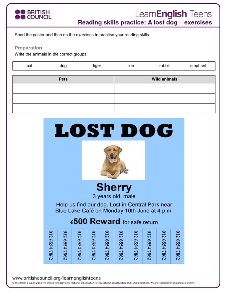 Reading Skills Practice: A Lost Dog - Exercises: Preparation | PDF