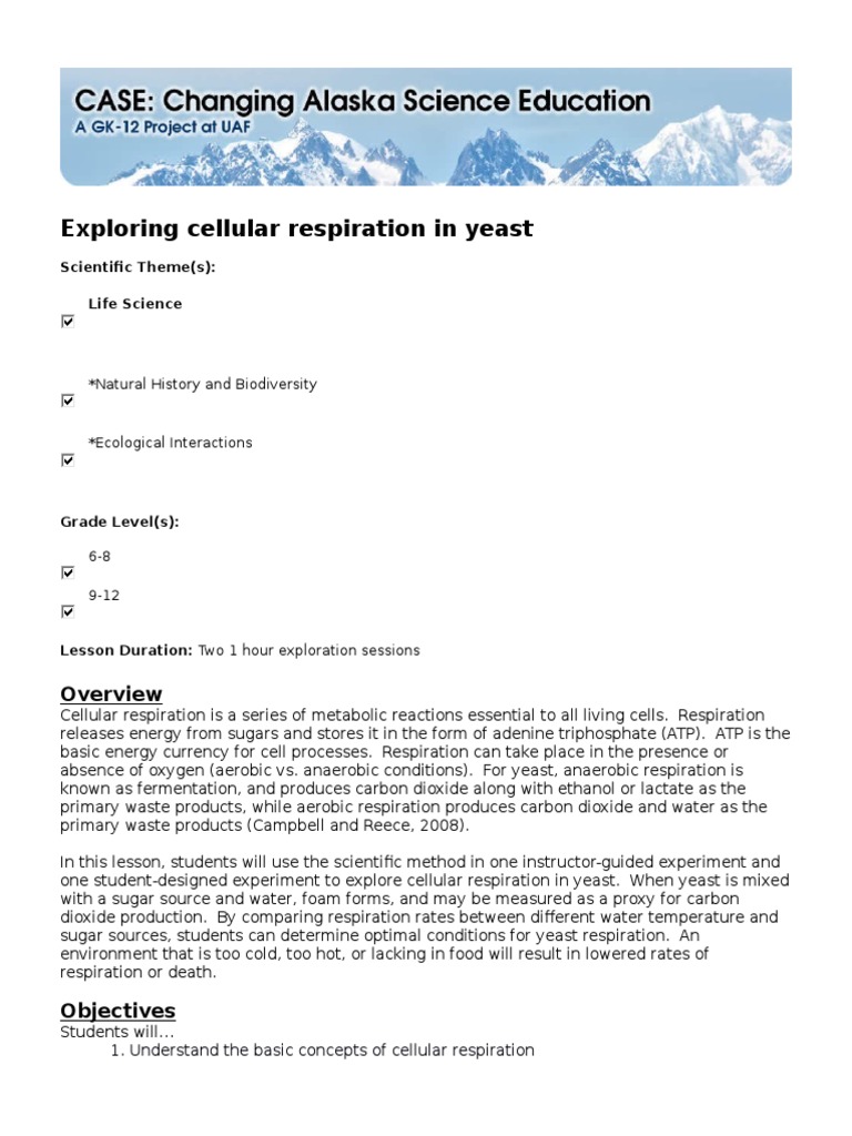 Cellular Respiration in Yeast | PDF | Cellular Respiration | Experiment