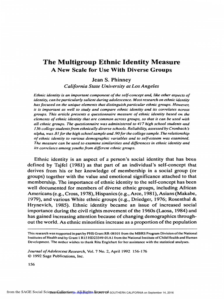 Multigroup Ethnic Identity Measure | PDF | Identity (Social Science ...