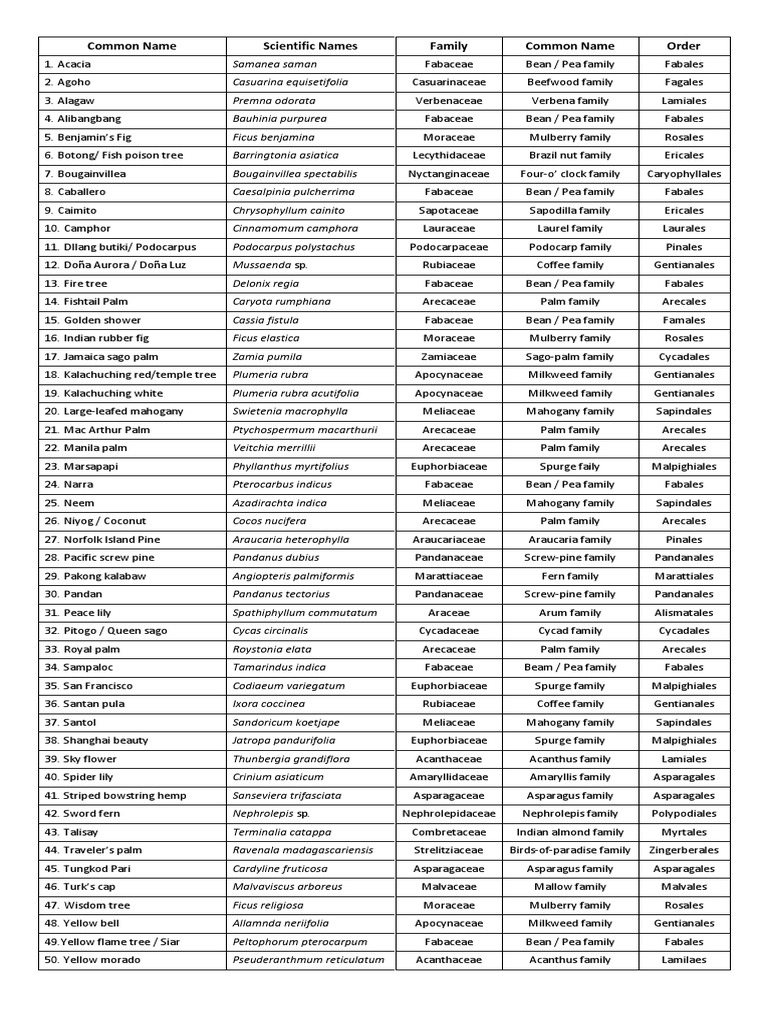 Ust Plants | PDF | Trees | Botany