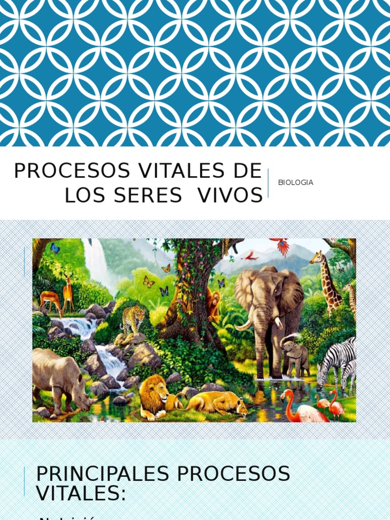 Procesos Vitales de Los Seres Vivos | Descargar gratis PDF ...