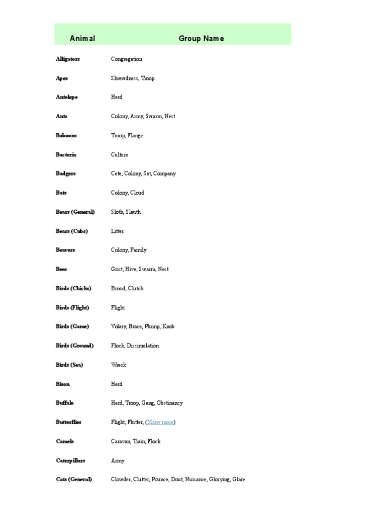 Animal Group Name: Alligators Apes Antelope Ants Baboons Bacteria ...