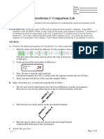 mRNA Codon and Amino Acid Chart | PDF | Genetic Code | Molecular Biophysics