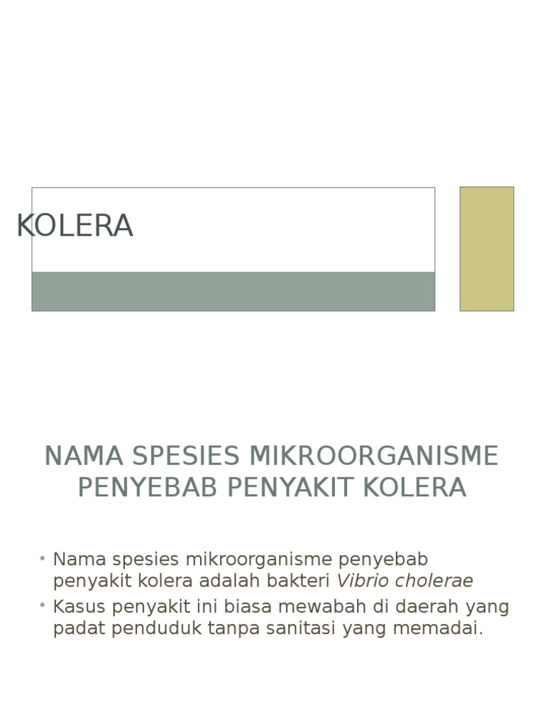 Kolera | PDF