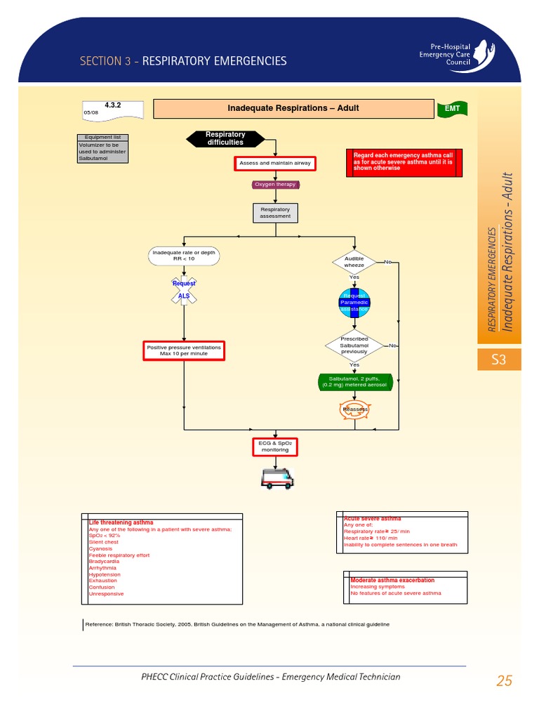 EMT Section 3 Respiratory Emergencies | PDF