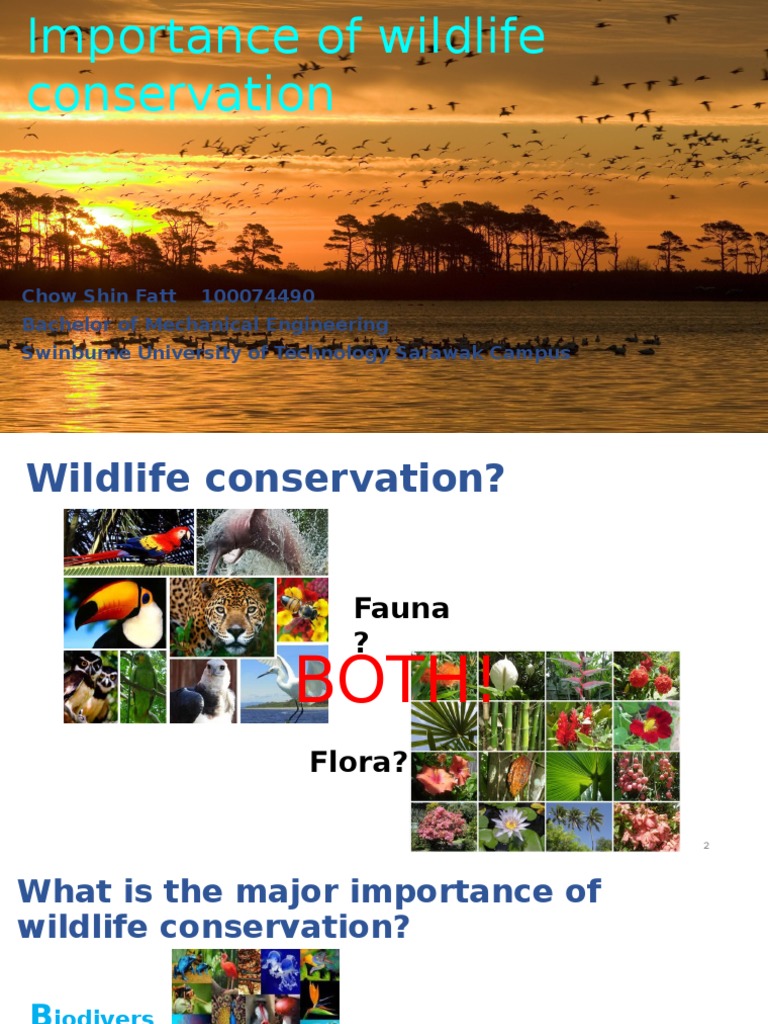 Significance of Wildlife Conservation | PDF | Wellness