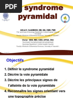 Syndrome Pyramidal | PDF | Système nerveux | Causes de décès