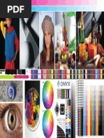 Onyx Quality Evaluation Guide | PDF | Printing | Computer Graphics