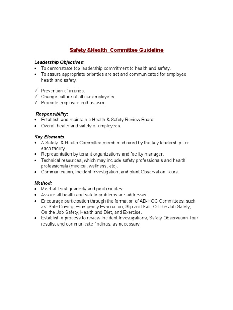 Health & Safety Committee Guidelines | PDF | Career & Growth | Business
