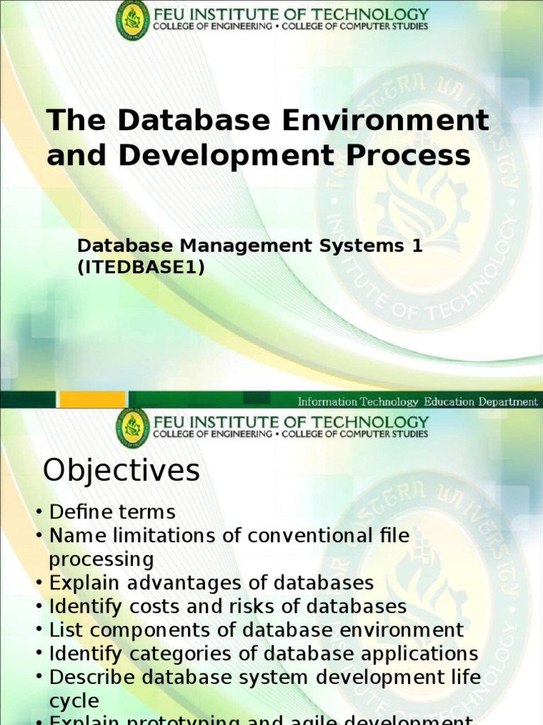 Lesson 1 - The Database Environment and Development Process | PDF ...