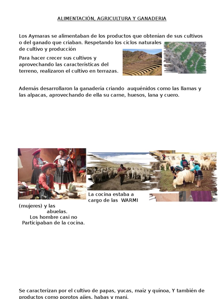 Alimentacion Aymara
