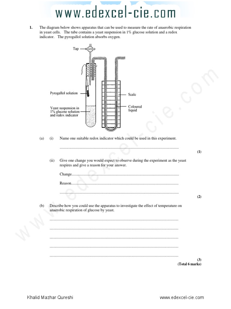 Edexcel A-Level Biology Anaerobic Respiration PDF | PDF | Cellular ...