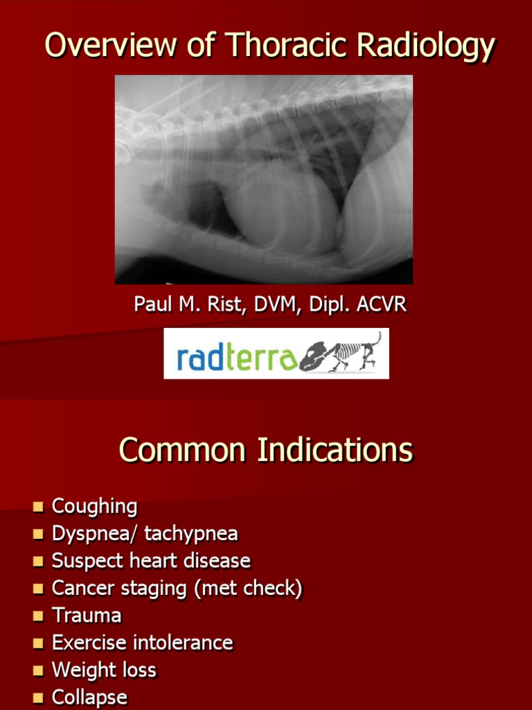 Overview of Thoracic Radiology | PDF | Lung | Thorax
