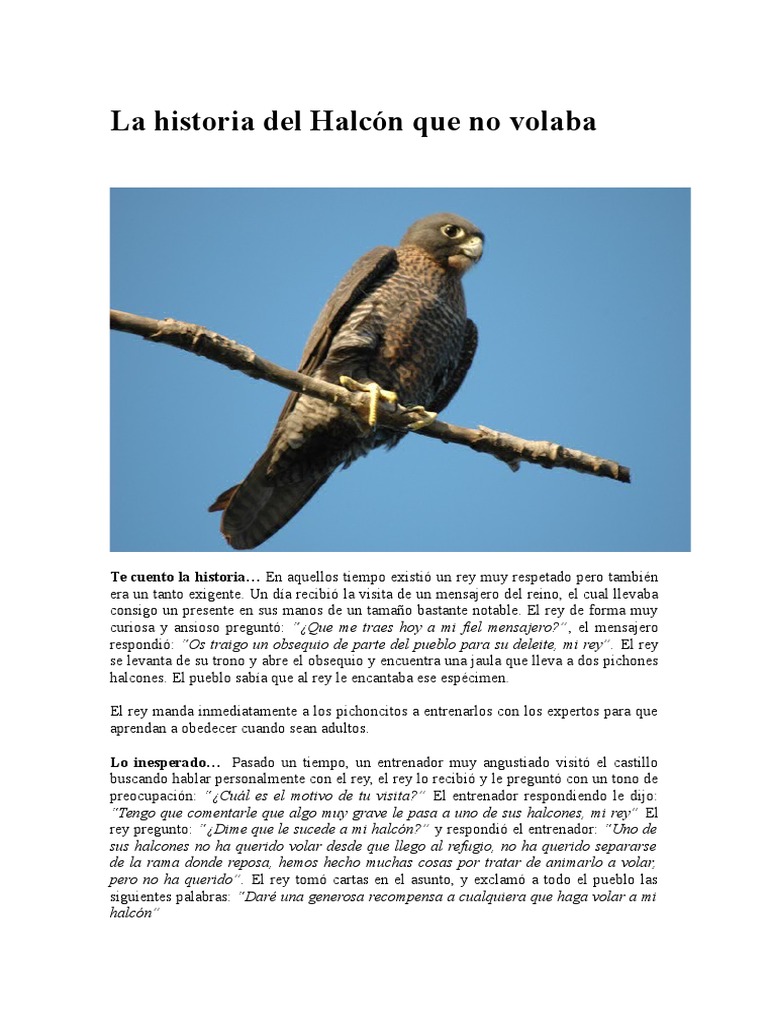 La Historia Del Halcón Que No | PDF | Ocio
