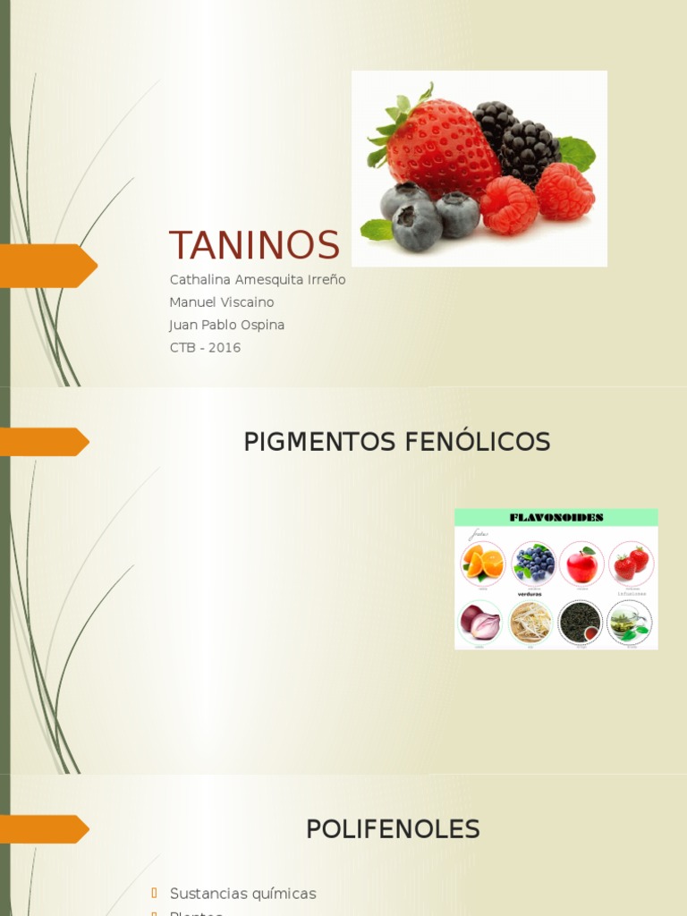 Presentación Taninos.pptx