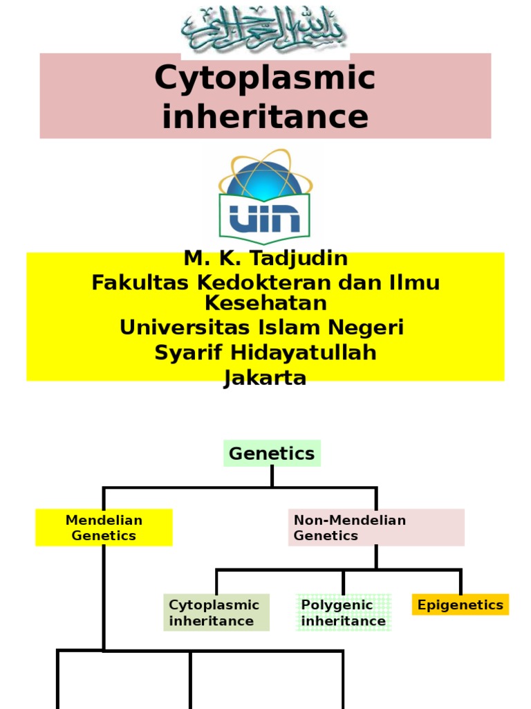 Cytoplasmic Inheritance | PDF | Cell (Biology) | Mitochondrion