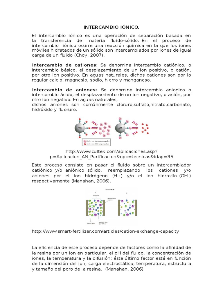 Intercambio Iónico | PDF