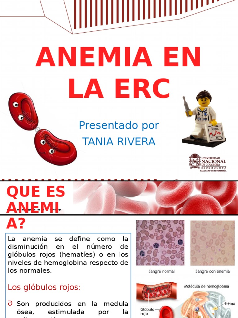 Anemia Erc | Glóbulo rojo | Anatomía