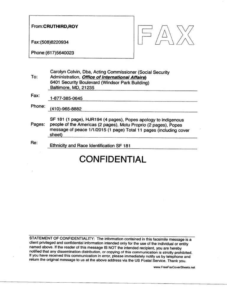 SF 181 Ethnicity and Race | PDF