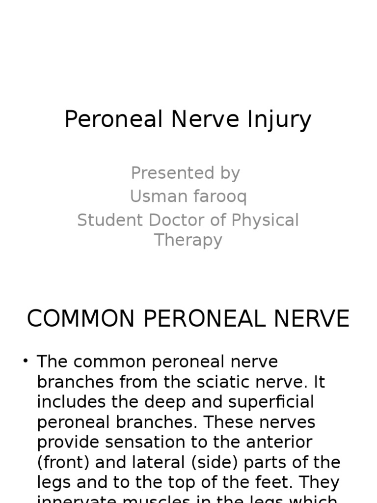 Peroneal Nerve Injury: Presented by Usman Farooq Student Doctor of ...