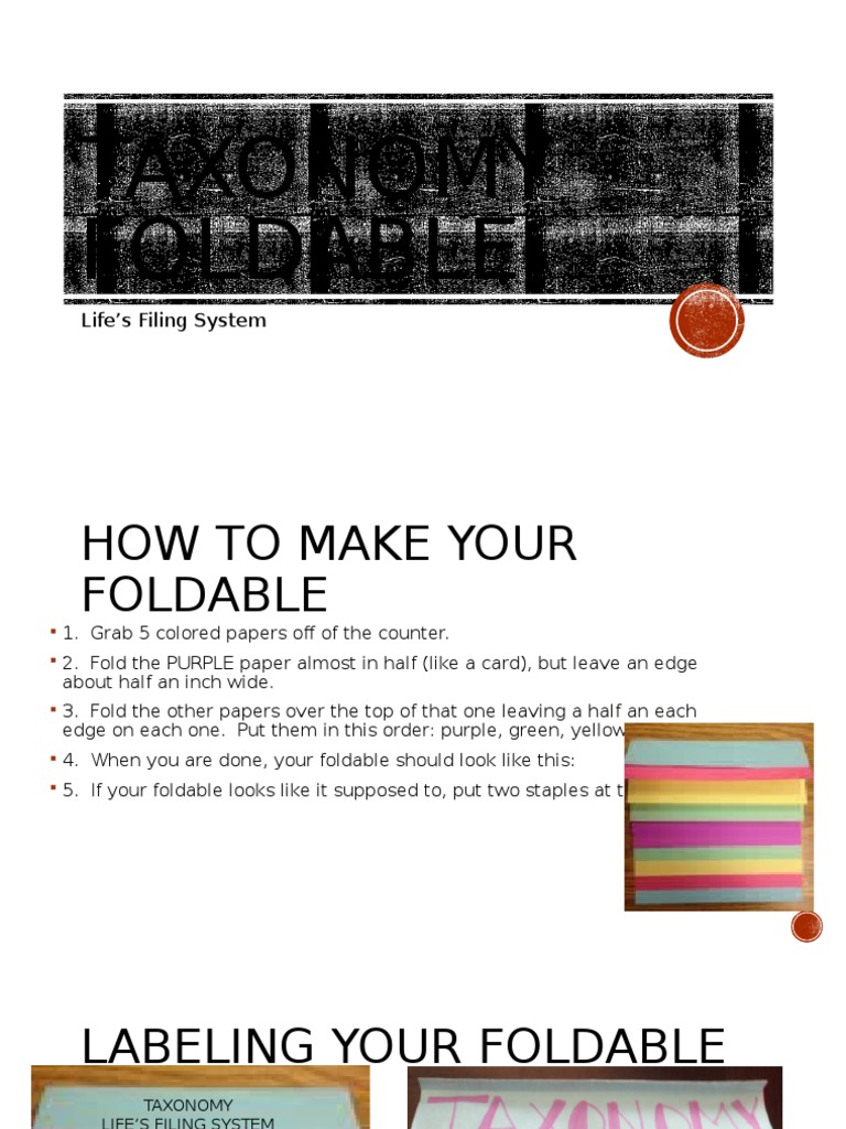 Create a Taxonomy Foldable Guide | PDF | Cell (Biology) | Biological ...