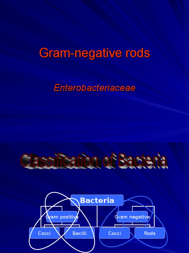 Gram Negative Rods | PDF | Gram Negative Bacteria | Microbiology
