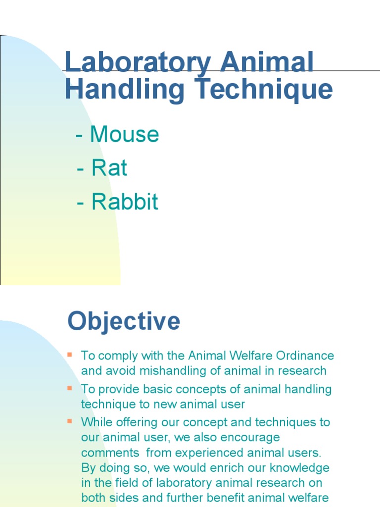 Laboratory Animal Handling Technique: - Mouse - Rat - Rabbit | Download ...