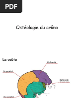 10.anatomie Du Cavum | PDF | Épithélium | Anatomie humaine