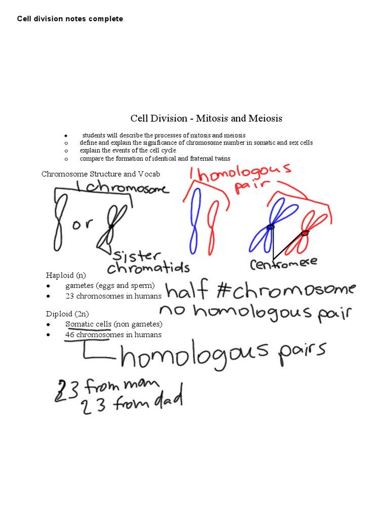 Cell Division Notes Complete | PDF