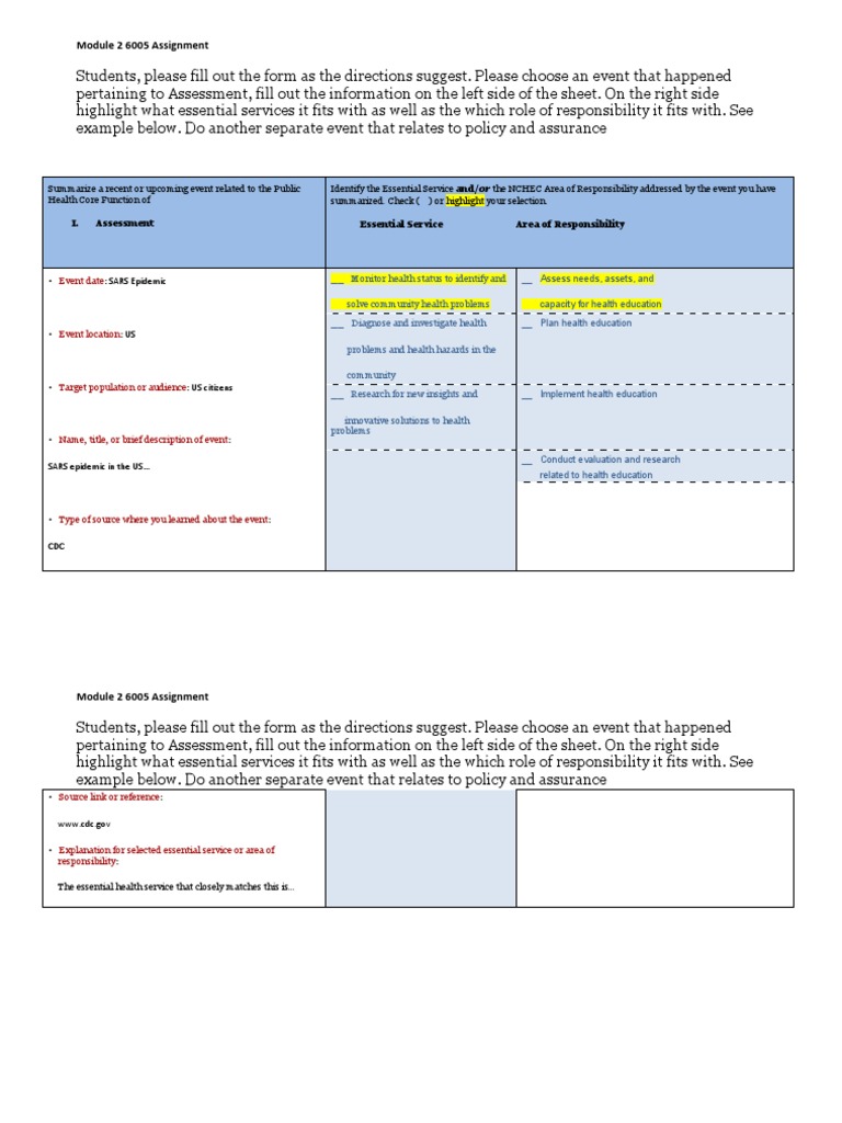 Module 2 6005 Assignment: I. Assessment Essential Service Area of ...