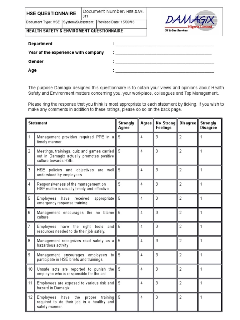 Hse Questionnaire | PDF | Employment | Audit