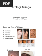 PPK Otitis Eksterna | PDF