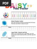 Democracy For Brownies Badge Booklet | PDF | United States Congress ...