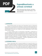 Clasificación de Pfirrmann Modificada | PDF | La columna vertebral ...