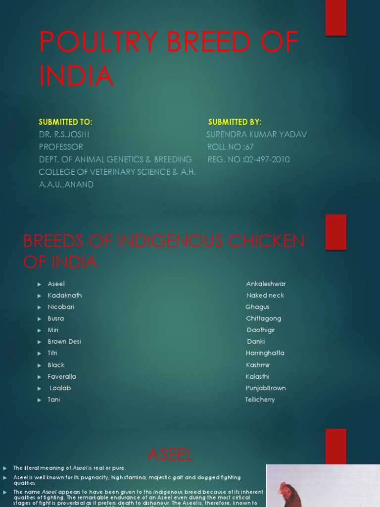 Poultry Breed of India PDF | PDF | Chicken | Birds