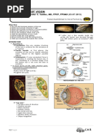 Jaeger Chart | PDF | Diseases Of The Eye And Adnexa | Optics