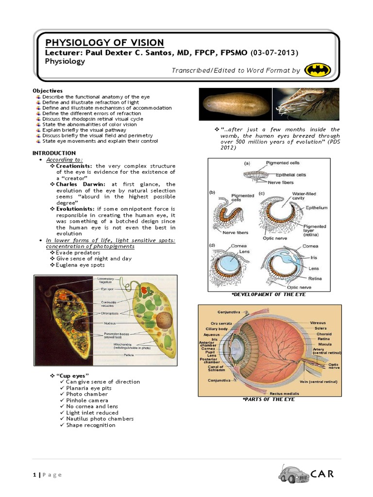 Physiology of Vision PDF | PDF | Visual System | Lens (Optics)