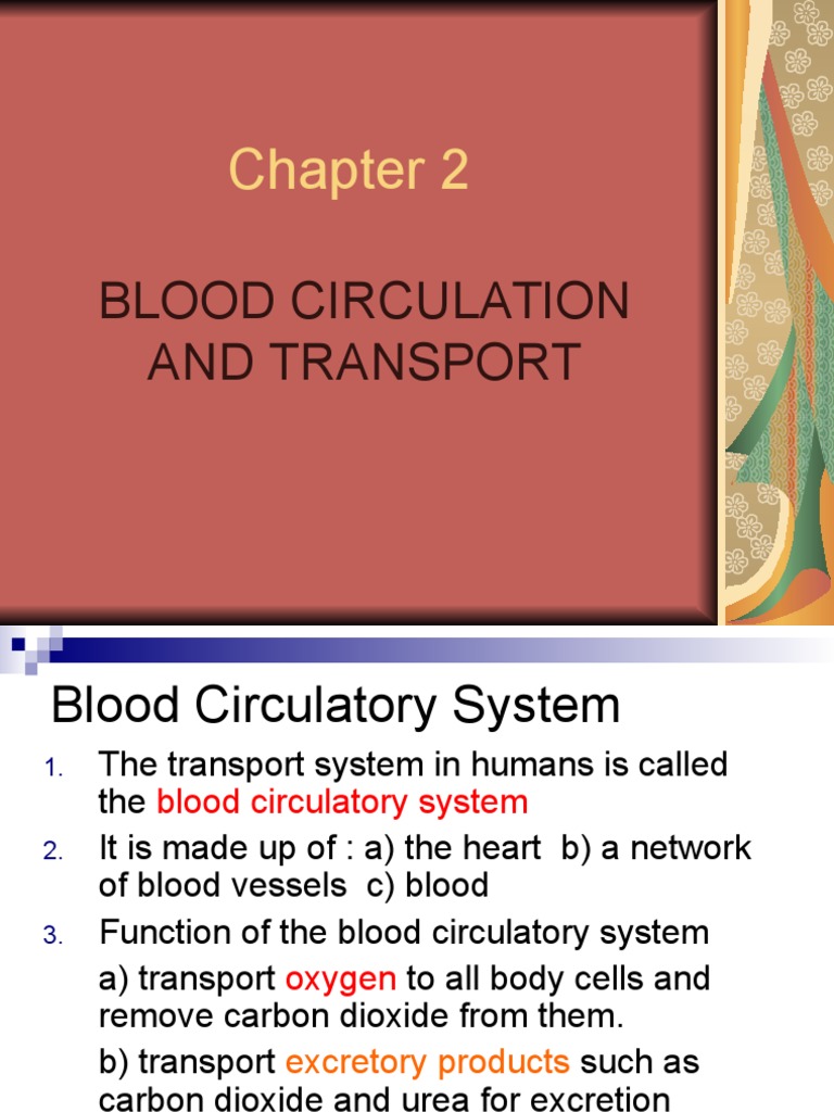 Functions of Blood Circulation | PDF | Circulatory System | Heart