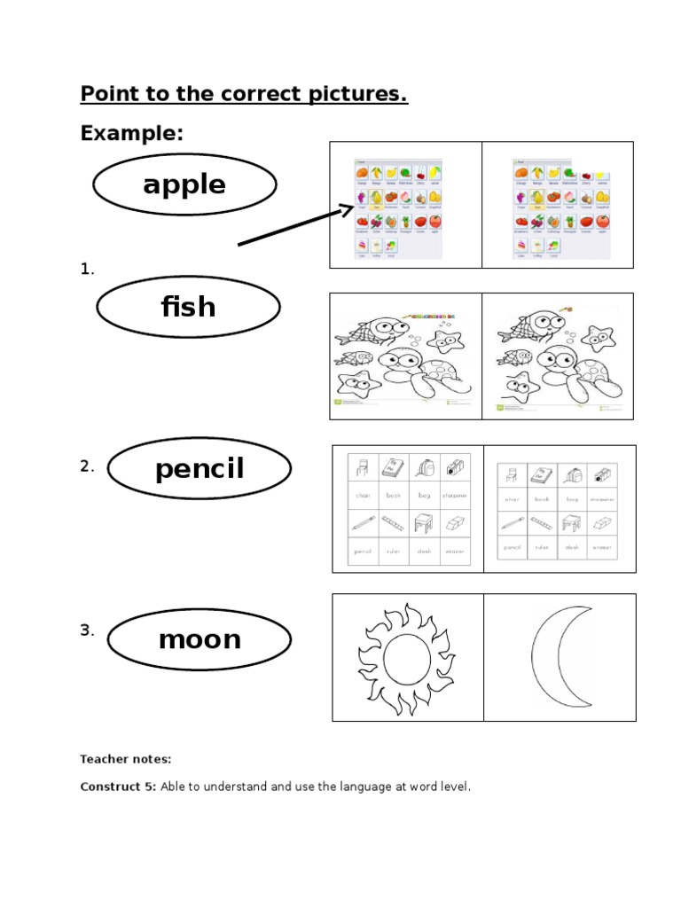 Pre-Test Year3 BI Set 1 | PDF