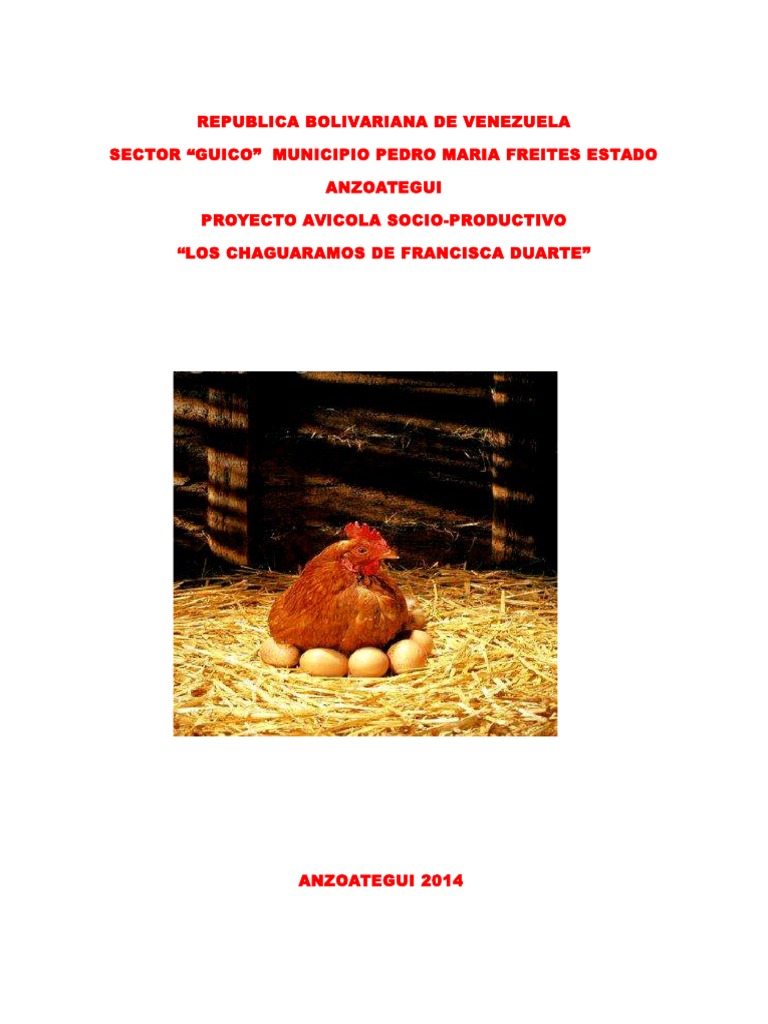 01 Proyecto Gallinas Ponedoras Carne y Huevos | Descargar gratis PDF | Aves | Calidad (comercial)